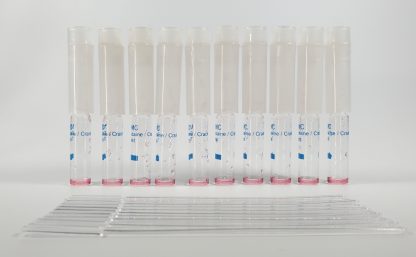 Cocaine & Crack Test Kit | Test Kit Plus