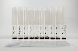 GHB Test Kit | Test Kit Plus